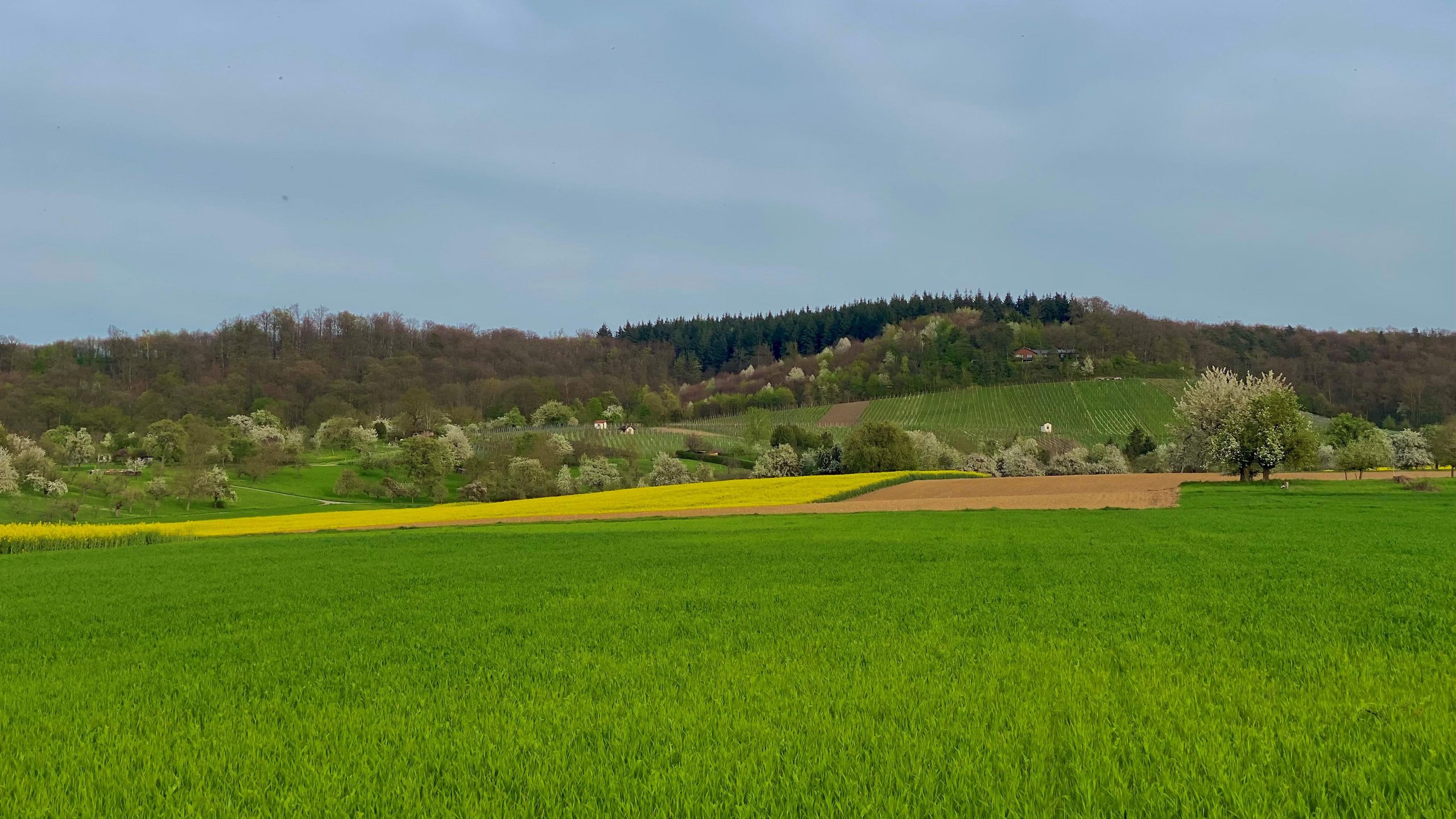 Stadtportrait - Stadt Knittlingen
